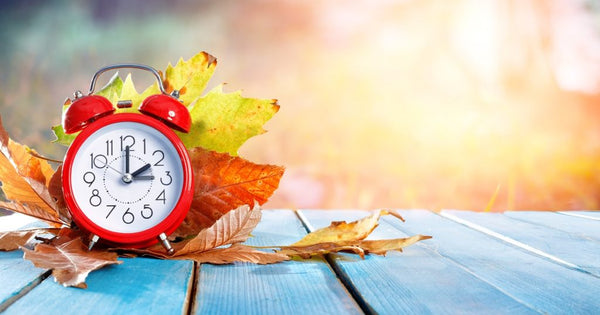 Daylight Savings Time: “Fall back” to sleep - Warm Things